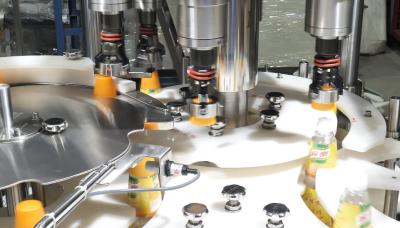 China One Click Changeover Servo Bottle Capper Machine for sale