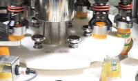 China One Click Changeover Servo Bottle Capper Machine for sale
