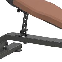 China Adjustable Abdominal Training Board Supine Board Gym Coach Board for sale