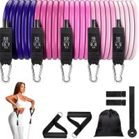 China Multi Functional Training Tension Rope Tension Device Home Fitness Men'S Women'S Breast Expanders 11 Piece Set Tension Rope for sale