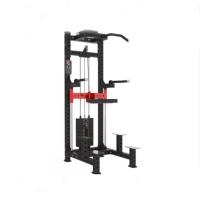 China Single And Parallel Bars Trainer For Dumbbell Shoulder Push Pull Upward Leg Insertion for sale
