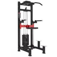 China Single And Parallel Bars Trainer For Dumbbell Shoulder Push Pull Upward Leg Insertion for sale