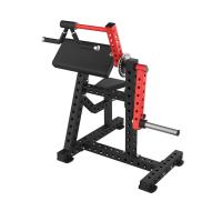 China Biceps & Triceps Extension Machine for Bodybuilding Fitness for sale