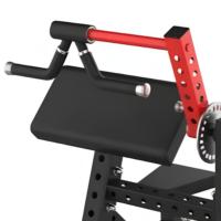 China Biceps & Triceps Extension Machine for Bodybuilding Fitness for sale