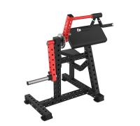 China Biceps & Triceps Extension Machine for Bodybuilding Fitness for sale