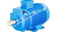 China Low Speed Performance High Accuracy 191Nm Electronic Dynamometer for sale