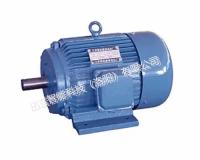 China Motor Control Permanent Magnet Sync Motor PMSM for sale
