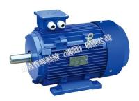 China High - Speed Electric Motor For High Efficiency And Power Density for sale