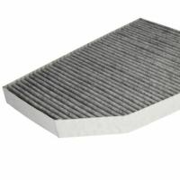 China 1039042-00-B Model X Cabin Pollen Filter with Action Charcoal and ELEC Engine within OE NO. 1039042-00-B for sale