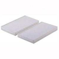 China Reference NO. CF8791 CF8791 Cabin Air Filter for 5.3 Engine OEM 52485513 52473340 19257782 24161 CF104 24805 CA-6501 for sale