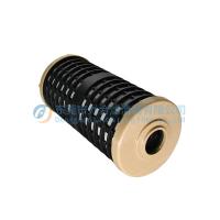 China Paper Diesel Fuel Filter FK48556 L5091F 42043832 A0000901752 A0000904251 DDEA0000904251 for sale