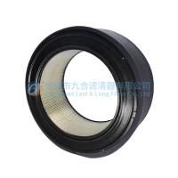 China Filter Paper Air Filter 3I0882 P524368 AF1731 CA3501 46255 PA2115 P18-1187 SA16196 for Heavy-duty Construction Equipment for sale