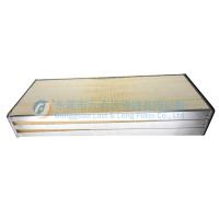 China PA2395 DynaCell Panel Air Filters Set of 2 for C55445-1 RC25 Top Performance Guaranteed from Manufacturing Plant for sale