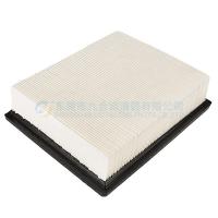 China Construction Equipment Excavator 4855433 485-5433 Cabin Air Filter SC90450 SKL46989 with 227*187*60mm for sale