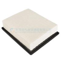 China Construction Equipment Excavator 4855433 485-5433 Cabin Air Filter SC90450 SKL46989 with 227*187*60mm for sale