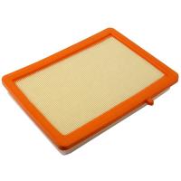 China Trailblazer 2012-2016 Genuine Car Air Filter Element 23279657 84390002 with Automotive Filtro de Aire for sale