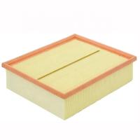 China 2000-2005 Year Car Engine Air Filter C26206/1 for Auto Air Cleaner 059133843A 059133843 254*213*69mm for sale