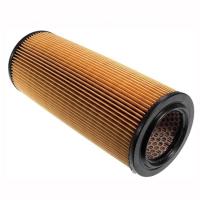 China Car Engine Air Filter 118/69*291mm Auto Air Cleaner 9390907 C12102 for Automotive Maintenance for sale