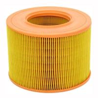 China Reference NO. P543A Car Engine Air Filter 7700957336 7701033713 7701035984 C18121 Automotive Filtro De Aire for Renault1 for sale