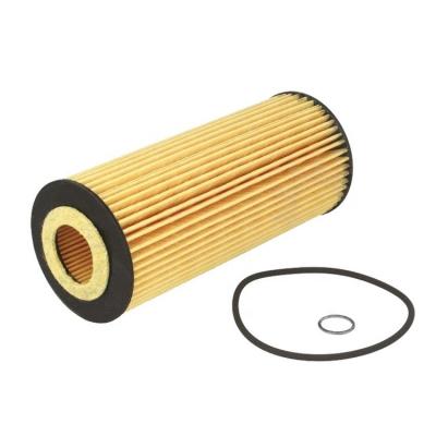 China Reference NO. HEM6196 PAPER Auto Car Engine Eco Oil Filter for Automobiles 20779040 HU721Y Cartridge Canister for sale