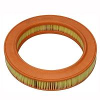 China Reference NO. AG 201 Car Engine Air Filter Air Cleaner 3469294 834231 834273 834803 CA3118 C2536 Automotive Filtro De Aire for sale