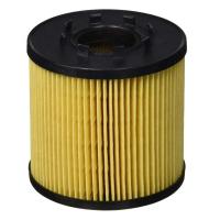 China 2013- Year Auto Car Engine Eco Oil Filter for Automobiles 15209-00QAA HU923X Reference NO. SFOF1012 for sale