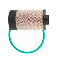 China High Precision Engine Fuel Filter C10635ECO Automobile Fuel Filter 504170771 for sale