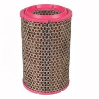 China 60603982 71754086 C1589/2 Car Engine Auto Air Filter Air Cleaner for Filtrating Air in Automotive for sale