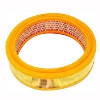 China Car Engine Auto Air Filter Air Cleaner 4236936 4236977 4371571 4358592 C2425 automotive Filtro de aire for 128 Coupe 128 for sale