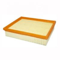 China OE NO. 46519049 Car Engine Air Filter A 19116 46806576 C2498 Automotive Filtro De Aire for Your Vehicle for sale