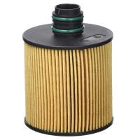 China 8VM Auto Car Engine Eco Oil Filter for Automobiles 71754237 100*72*32mm for sale