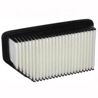 China Car Air Filter N1320554 Reference NO. N1320554 28113-1W000 C25013 Automotive Filtro De Aire for sale