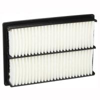 China 2008-2015 Car Air Filter 28113-25500 C2524/1 for Filtrating Air in Air Filtration System Efficiency and Performance for sale