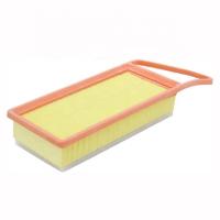 China Car Air Filter for PEUGEOT1 C3087/1 382*140*65mm Engine Assembly SU001-00653 C3087/1 Automotive Filtro De Aire Air Cleaner for sale