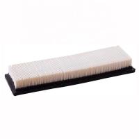 China OE NO. 25097917 Engine Assembly Air Cleaner Car Air Filter element 25097919 CA7017 Car Filter Automotive Filtro De Aire for sale