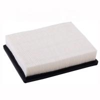 China Engine Assembly Air Cleaner Car Air Filter element 25095333 25098845 24577608 CA3916 Car Filter Automotive Filtro De Aire for sale