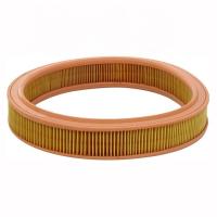 China Ford Car Air Filter Element 6162292 95BF9601AA 6497632 89BF9601AA Automotive Filtro De Aire for Ford Fitment Automotive for sale