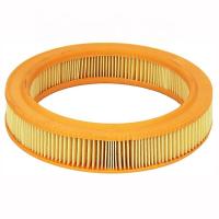 China Engine Assembly Auto Parts Car Air FILTER PAPER element 6080390 79BF9601AA C2534 Car Filter Automotive Filtro De Aire for sale