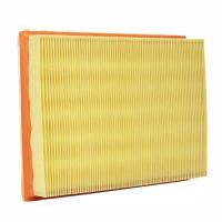 China Car Air Filter 96MF9601AB F02Z9601A1A 3885284 1004509 Automotive Filtro De Aire for Ford Car Fitment Engine Assembly for sale