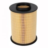 China Auto Parts Car Air Filter Filtration Grade 99.97% element 1695529 1708877 7M519601AB 72140332 Automotive Filtro De Aire for sale