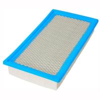China 304*170*44mm CA10242 Car Air Filter for Automotive Engine Assembly 7T4Z9601A CY0113Z40A for sale