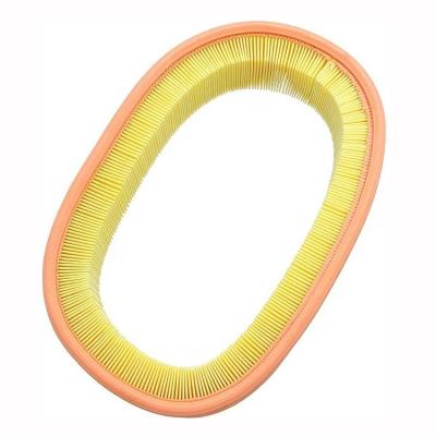 China Engine Assembly Auto Parts Car Air Filter element 20943004  C37107 Car Filter Automotive  Filtro De Aire for sale