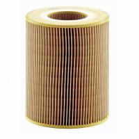 China Filtrate Air Car Air Filter Element 1660940004 A1660940004 for Long-Lasting Air Filtratio for sale