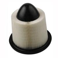 China Auto Engine Parts Filtro de aire F50X6301AB F50X9601AB YC3Z9601AA for Car Air Filter Function Filtrate Air Automotive for sale