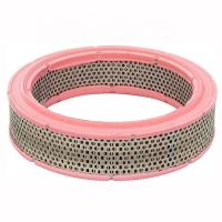 China Automotive Filter Element C2443 C2436 for Engine Assembly 2101-1109-100-01 2101-1109-100-02 Car Air Filter for sale