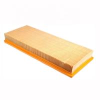 China OE NO. 53002184 Engine Assembly Auto Parts Car Air Filter element 53006317 1574618 74419493 Automotive Filtro De Aire for sale