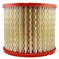 China 25043119 25098632 25096829 CA3924 Car Filter Automotive Filtro De Aire Engine Assembly with Filtration Grade 99.97% Paper for sale