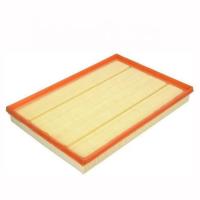 China 13711287481 13711287480 13711287482 Car Air Filter for Engine Assembly Filtration Grade 99.97% Automotive Filtro De Aire for sale