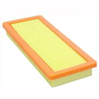 China Engine Assembly Auto Parts Car Air Filter element 9664191180 13717534845 C36002 C36003  Car Filter Automotive  Filtro De Aire for sale