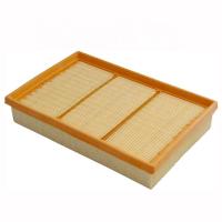 China 13713419934 C2589 Car Filter Automotive Filtros Engine Assembly Auto Parts Car Air Filter for Automobile for sale